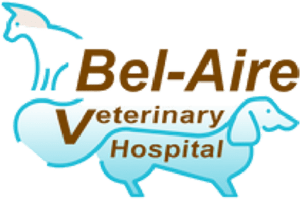 Best Vet In Greensboro, NC | Bel-Aire Veterinary Hospital