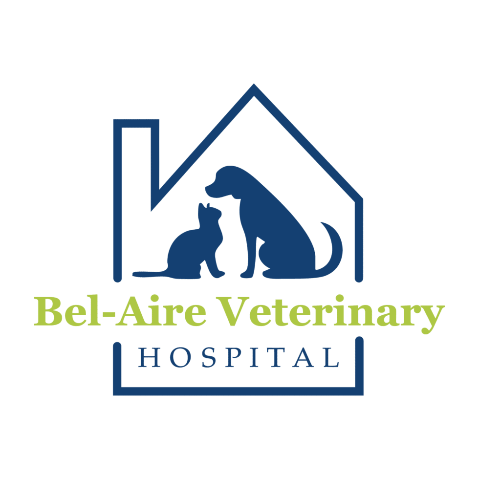 Surgery Consent Form | Bel-Aire Veterinary Hospital